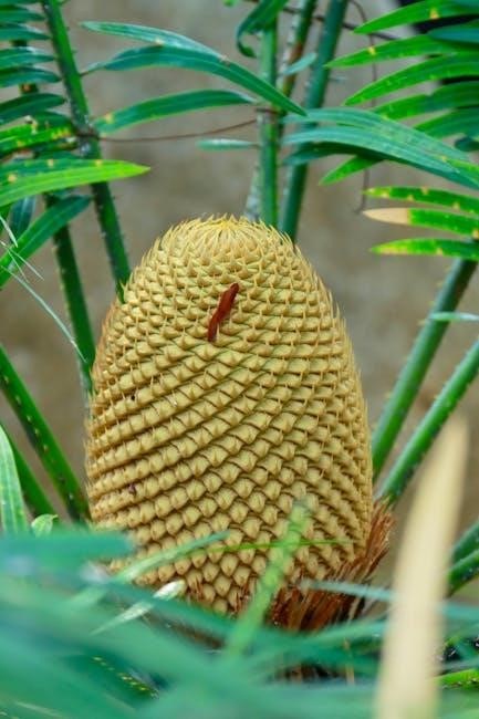 Nelson Biology 12 Textbook PDF - Free Download Canada